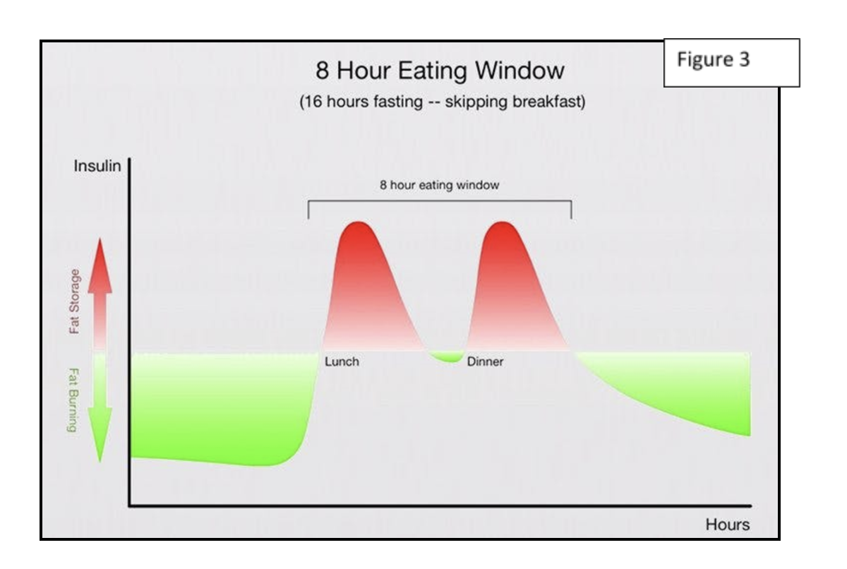How Intermittent Fasting Can Help You to Lose Weight - The Endocrine Doc