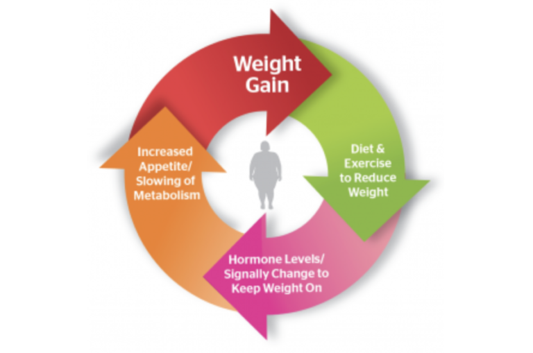 Obesity - an introduction - The Endocrine Doc